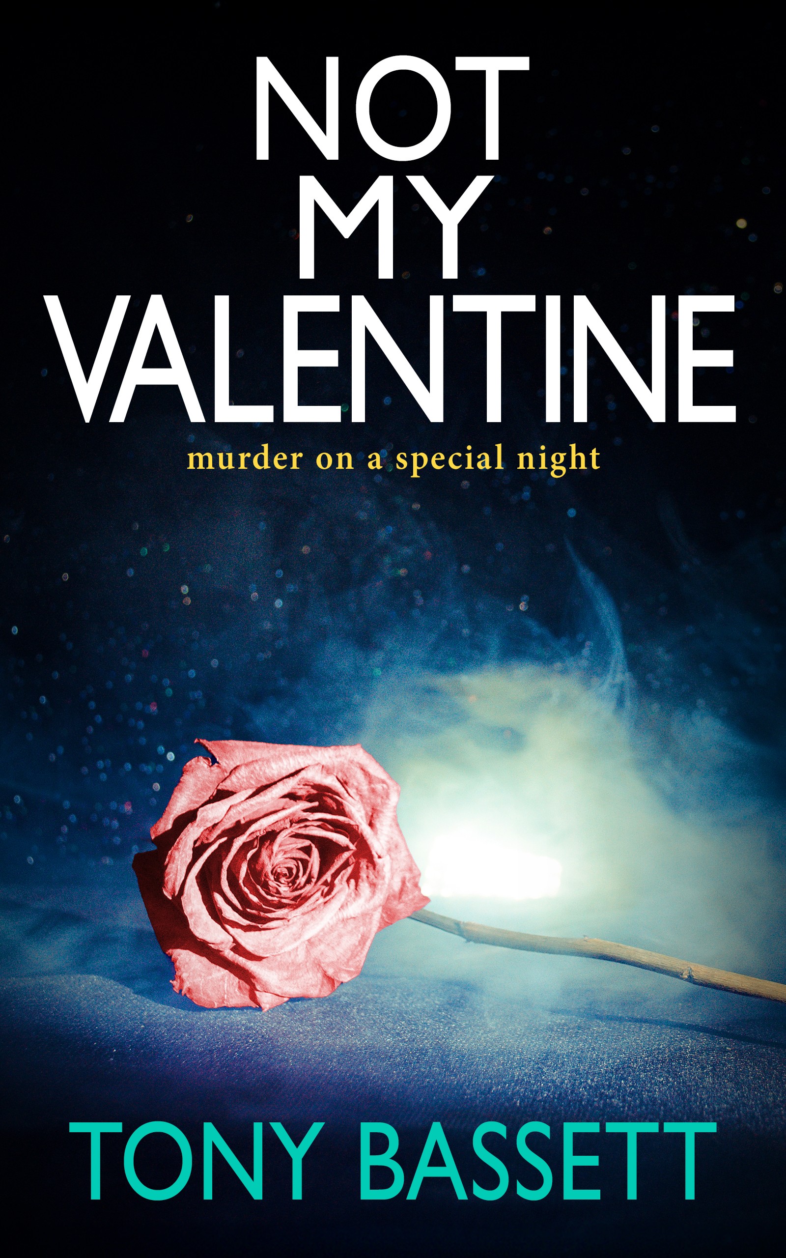 Not My Valentine by Tony Bassett is full of mystery